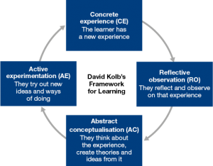 Learning Cycles and Learning Styles | Art of change making