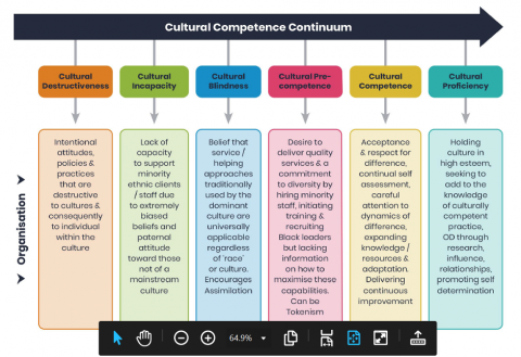 Becoming culturally competent: a mission | Leadership